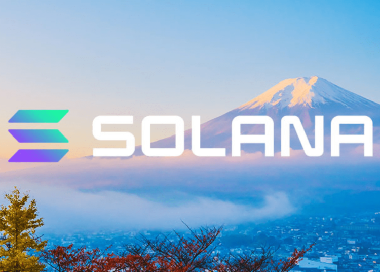 Top 5 Metaverse Coins Built on Solana The VR Soldier